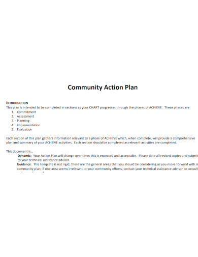 FREE 10 Community Action Plan Samples Mental Health Project 