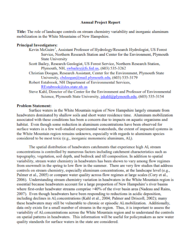 FREE 10 Report Problem Statement Samples Project Technical Lab 