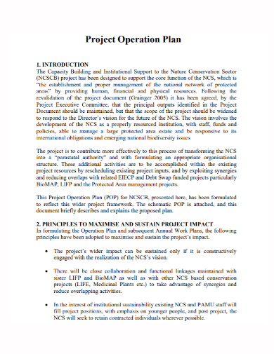 FREE 10+ Project Operational Plan Samples in MS Word | Google Docs ...