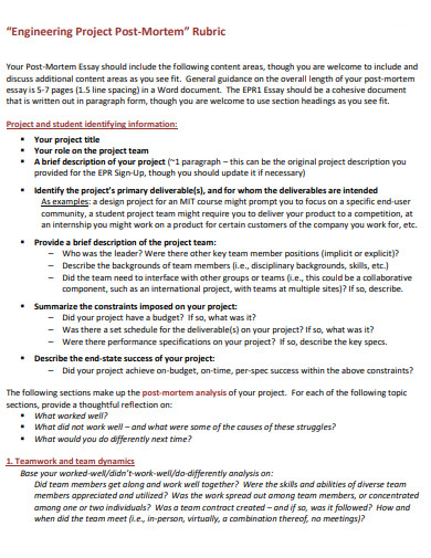FREE 10 Project Post Mortem Samples In PDF MS Word